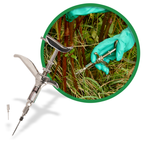 Residential Knotweed Removal | Elcot Environmental | Land Clearing
