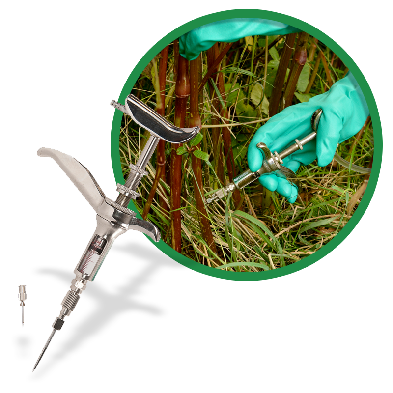 Residential Knotweed Removal | Elcot Environmental | Land Clearing